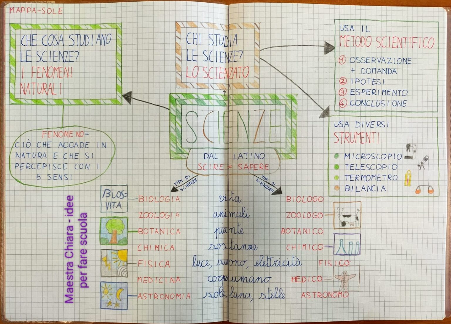 Scienze classe terza - Maestra Chiara
